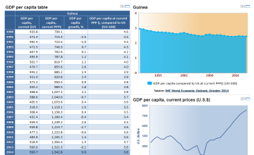 Guinea GDP per Capita - Guinea Data Portal